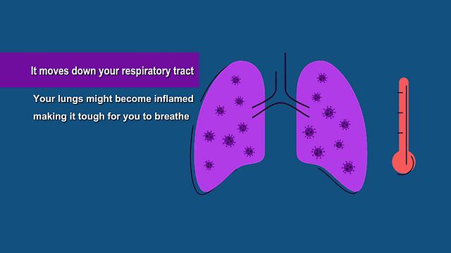 Make Corona Virus Explainer Presentation Video Online